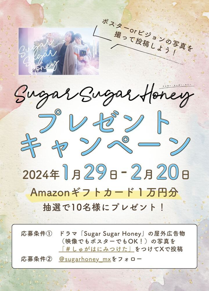 Sugar Sugar Honey｜ドラマ｜TOKYO MX